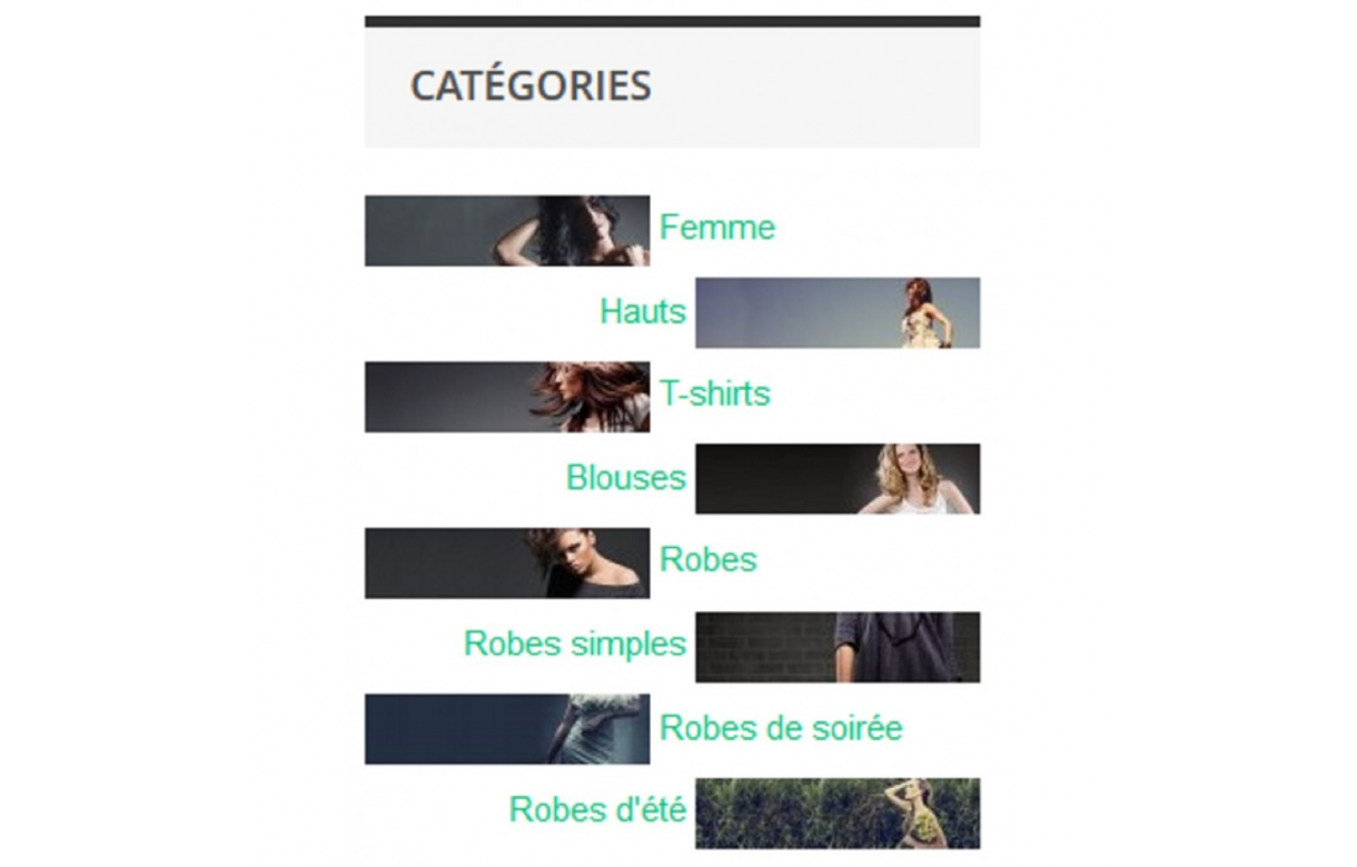 Bloc catégories personnalisable